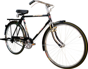 Rally Popular 22 Inch Men's Full Size Bicycle with Carrier, Stand and ...