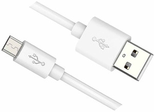 hirdesh Micro USB Cable 1 m Micro USB TYP B Cable 20W 2.4A 1M White ...