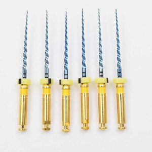 PRAKDENT Dental Goflex Pro Root Canal Rotary File 25mm 20 / 4% Dental ...