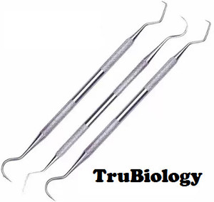 TRU BIOLOGY Dental Scraper Tool - Dentist Pick Dental Elevator Price in ...