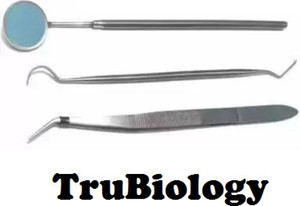 TRU BIOLOGY Dental Mouth Instrument Set Dental Elevator Price in India ...
