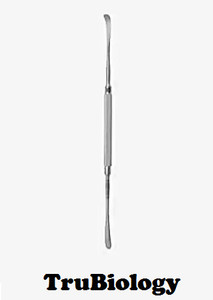TRU BIOLOGY Freer Periosteal Elevator Surgical Instrument Dental ...