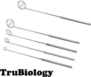 TRU BIOLOGY LARYNGEAL MIRROR (PACK OF 5) Dental Elevator Price in India ...
