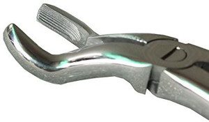 ADDLER DENTAL FORCEP UPPER THIRD MOLAR. SERRATED HANDLE NO GP 67 A ...