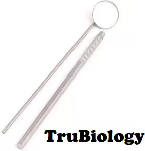 TRU BIOLOGY LARYNGEAL MOUTH MIRROR (PACK OF 10) Dental Elevator Price ...