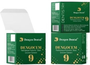 PRAKDENT Dental Restorative Cement, 9g, Dengen Dengocem /NO Teeth ...