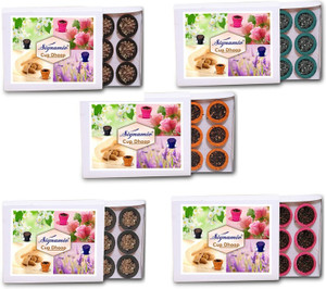 Signamio Cup Dhoop with Burner Plate for Pooja, Meditation and ...