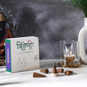 Triveni Dhoop Cones (30 Pieces) with 1 Holder, 25 min Burning time ...