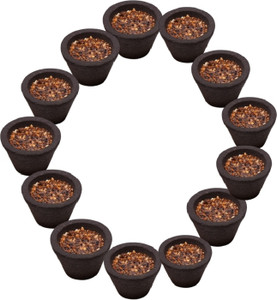 BRAHMANI Agarbatti Black samrani cup made with temple flower (15 units ...