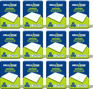 Wellstar Underpads | Large 60 x 90 cm Adult Diapers - L - Buy 120 ...