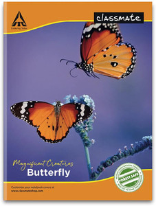 Classmate English Regular Notebook Four line 172 Pages Price in India ...