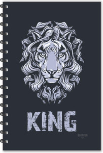 SADAFAL RG1091 A5 Diary Ruled 160 Pages Price in India - Buy SADAFAL ...
