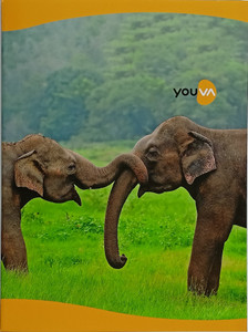 NAVNEET YOUVA Regular Notebook Four Line 172 Pages Price in India - Buy ...