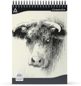 Classmate Drawing Book Regular Notebook Unruled 40 Pages Price in India ...