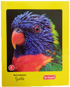 NEELGAGAN Sparkle Mini Notebook Single Line (15.0 cm x 19.0 cm) 80 ...