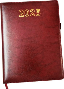 Excel 2024 Executive Style Diary with Sunday Full Page Regular Diary ...