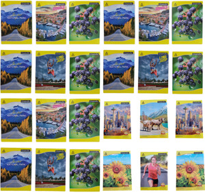 Classmate GIFTSET A4 Notebook SINGLE LINE BLACK 304 Pages Price in ...