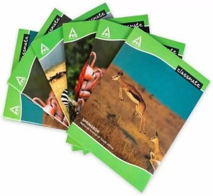 Classmate Stationery A4 Notebook SL(24x18) 172 Pages Price in India ...