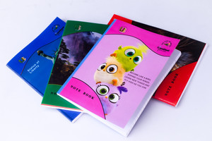 futuremate note book Regular Notebook single rule 172 Pages Price in ...