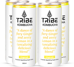 Tribe Kombucha Naturally Sparkling Probiotic Drink|Gut Friendly ...