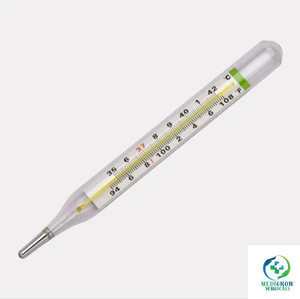 MEDIGROW Oval Thermometer for Fever Test For Clinical, Home Oval ...