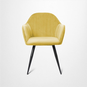 Finch Fox Ambar Unique Velvet Armchair with Armrest & Black Metal Base ...