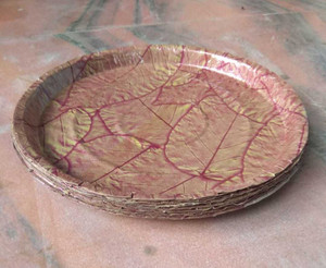 Fidi Pack of 100 Paper (13inch) Paper plate for Breakfast, Lunch ...