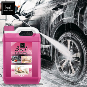 BLISS & BLUSH 3 IN 1 PINK CAR WASH SHAMPOO+FLOOR CLEANER+DISH WASH ...