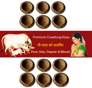stutibowl Premium Cowdung DIya (1 Box |20 Diyas) Direct from Gaushala ...