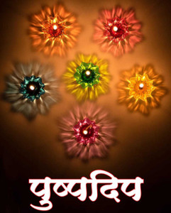 SustAINida Plastic (Pack of 12) Table Diya Set Price in India - Buy ...