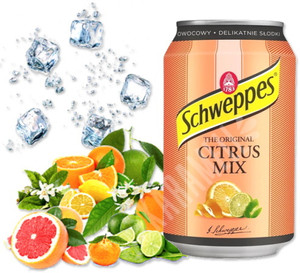 Schweppes The Original Citrus Mix Soft Drink (IMPORTED FROM MALAYSIA ...