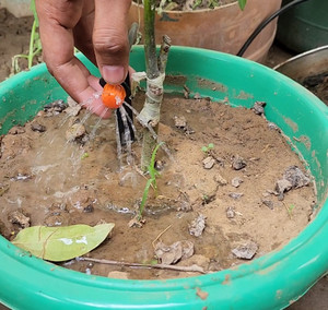 ppl agro Automatic Drip Kit For 100 Plant Drip Irrigation Kit Price in ...