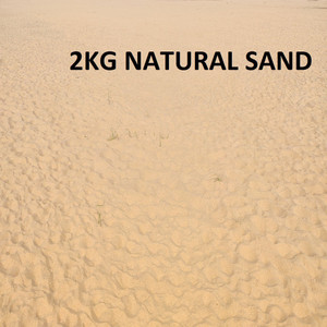 Sandy Pure sands Drywall Sander Price in India - Buy Sandy Pure sands ...