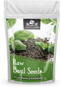 NATURE YARD Raw Basil/Sabja/Tukmaria/Bapji Seeds for Weight Loss - 250 ...