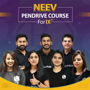 PW Physics Wallah NEEV Reloaded Pendrive Course - PW : Flipkart.com