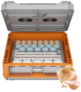TM&W New 64 design Hatching Egg Hatcherydrawer type 64 Incubator. Egg ...