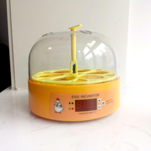 Lyla Mini Eggs Incubator Automatic Turning Duck Bird Children Hatching ...