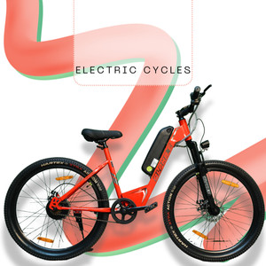 Virtus Motors ALPHA E 26 inches Single Speed Lithium-ion (Li-ion ...