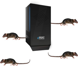 ZAPPOO Bed Bugs Enemy Ultrasonic Pest Repellent Machine For Safe And ...