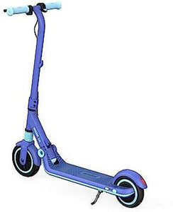 HUSE Segway E-Kick Scooter ZING E8 Powered by Segway Scooter Battery ...