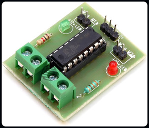 R&D L293D Motor Driver IC for Robotics and DIY Projects-A Electronic ...