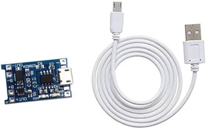 DIYtronics Lithium+Protection Dual Functions with Charging Electronic ...