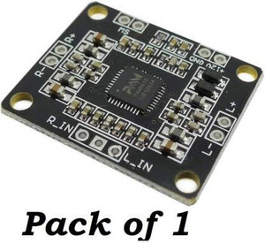 City King PAM-8610 Power Amplifier Board Miniature Module ( Pack of 1 ...
