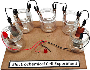 ERHIndia Electrochemical Cell Class 12 Project Working Model Science ...