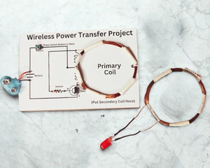 Esptronics Physics Project Electromagnetic Mutual Induction Science Kit ...