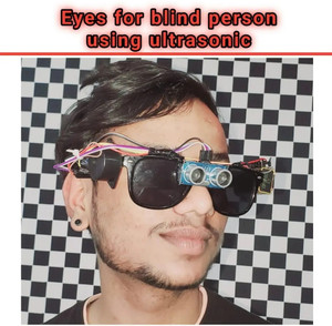 Sun robotronics eyes for blind person project Educational Electronic ...