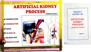 ONTEX ELECTRONICS Artificial Kidney Process Science Working Project and ...