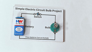 ERHIndia Simple Electric Circuit Science Project Working Model for ...