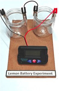 Esptronics Lemon Clock Battery Experiment Science Project Working Modal ...