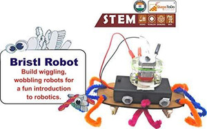 StepsToDo Make Your Own Bristlebot | Vibrating Robot Science Kit ...